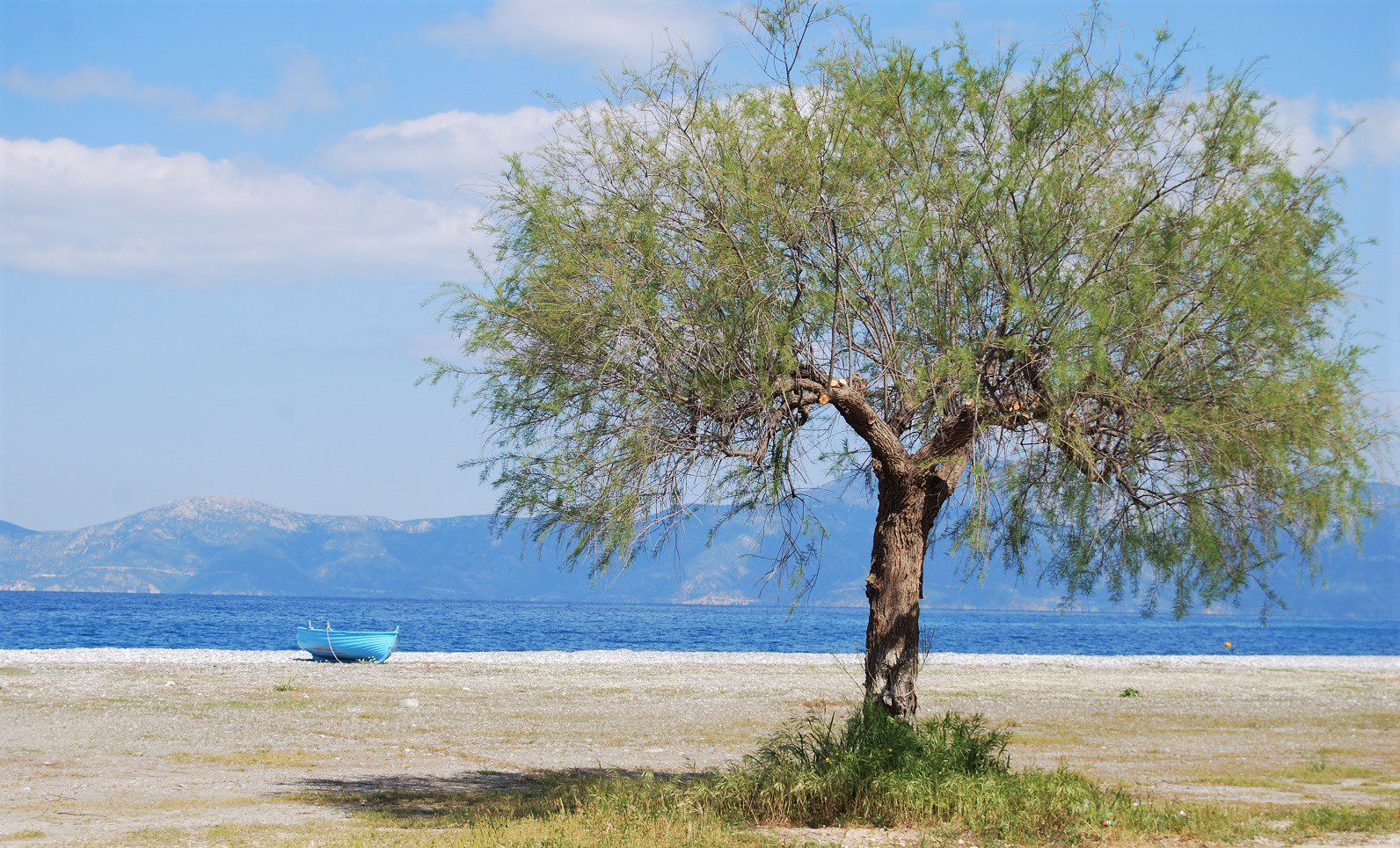 Pefki leto 2026 | Promo Travel